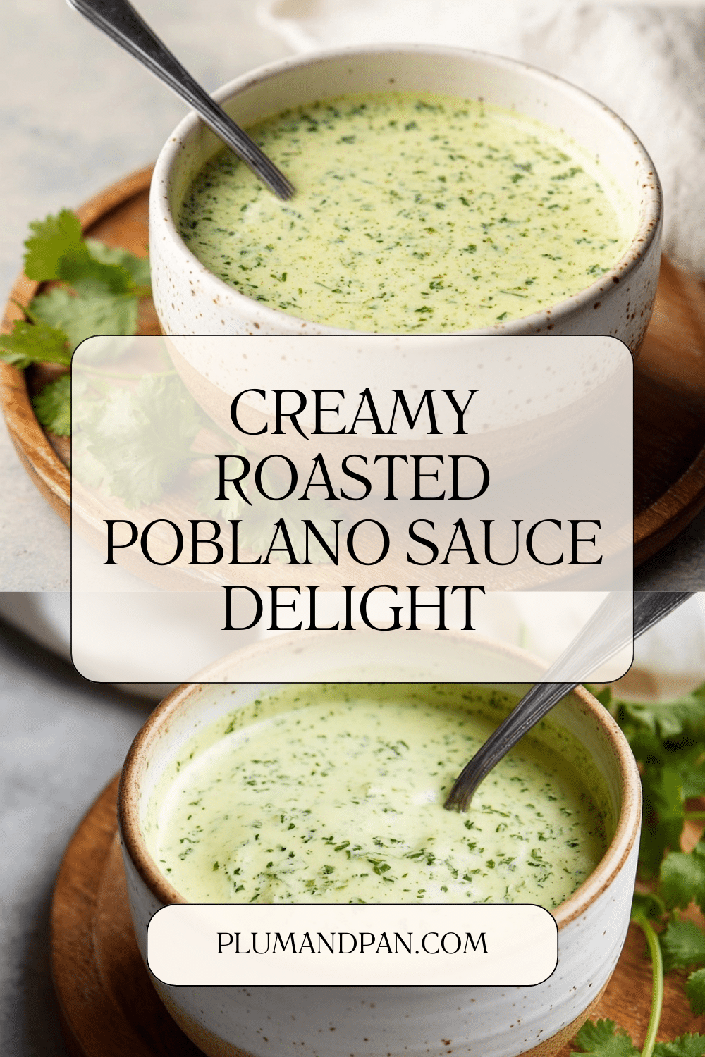 Poblano Cream Sauce Recipe - Elevate Your Dishes with Creamy Green Sauce