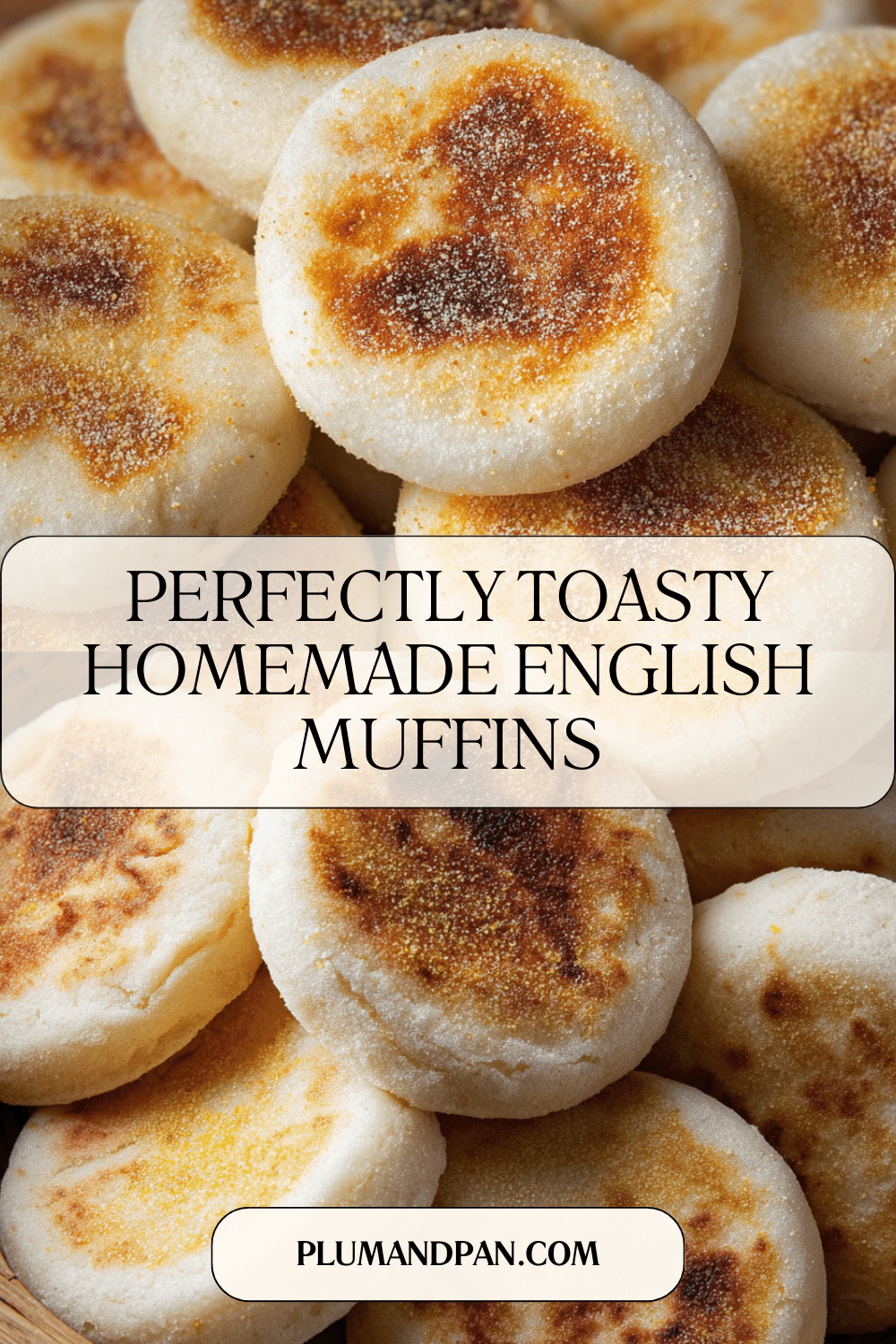 Easy Homemade English Muffin Recipe: Breakfast Bliss Awaits